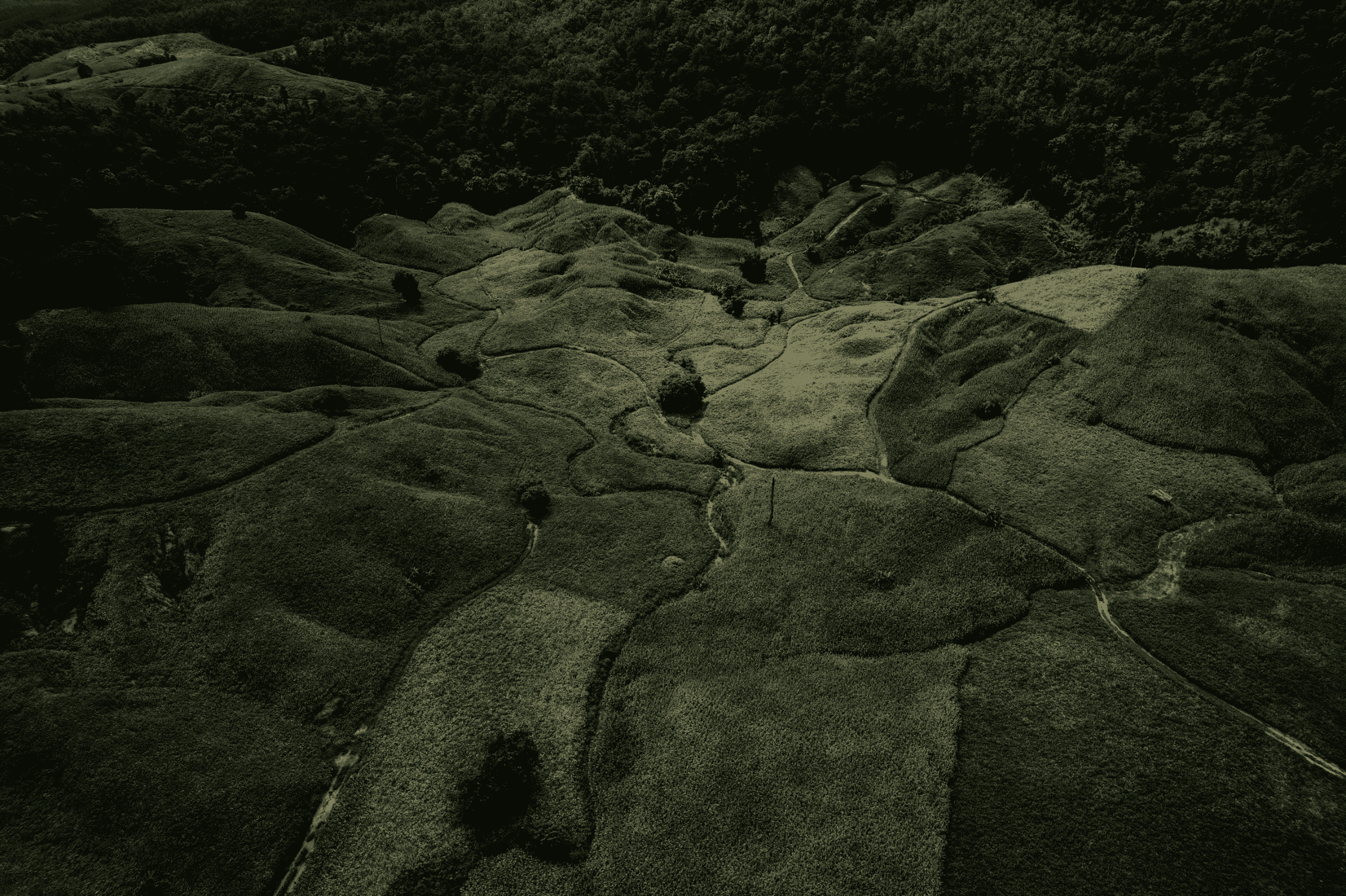 DOVU - Carbon Offset Marketplace