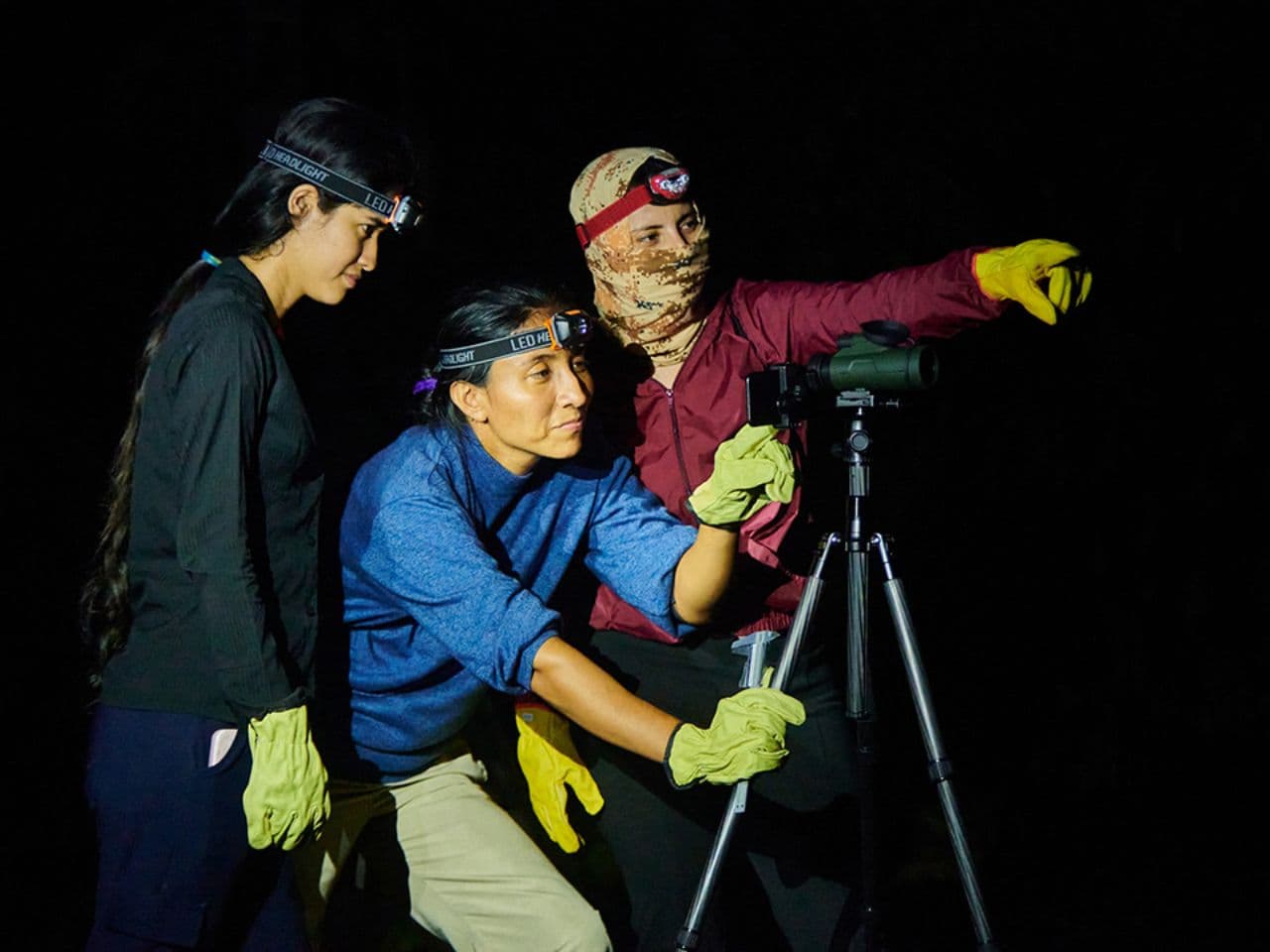 Savimbo Biodiversity Credits (MRV)