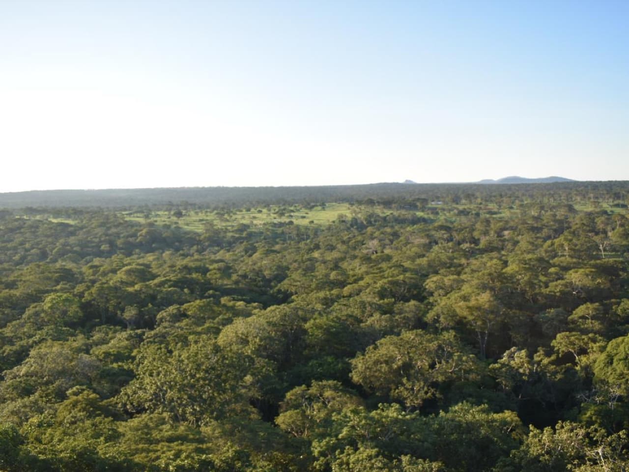 DOVU - Carbon Offset Marketplace